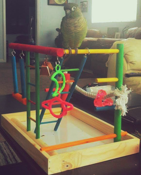 The April Perch Series: Portable Playstands and Perches – Paco Parrot's ...