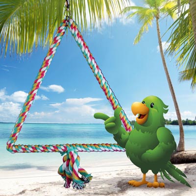 Bird Swings – Paco Parrot's Blog