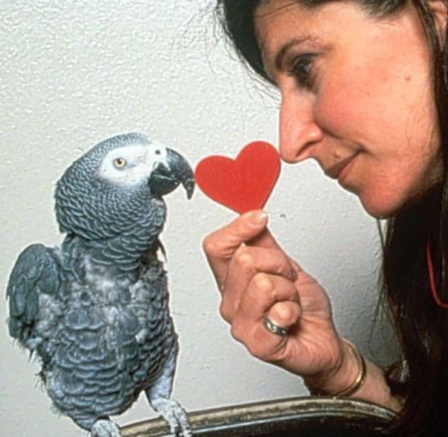 Five Ways to Best Support Your Bird – Paco Parrot's Blog